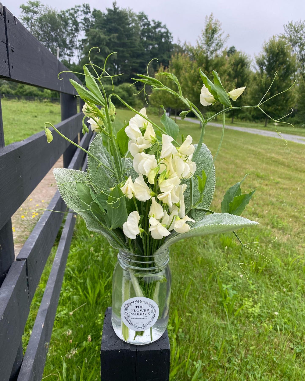 The Flower Paddock at White Thistle Farm