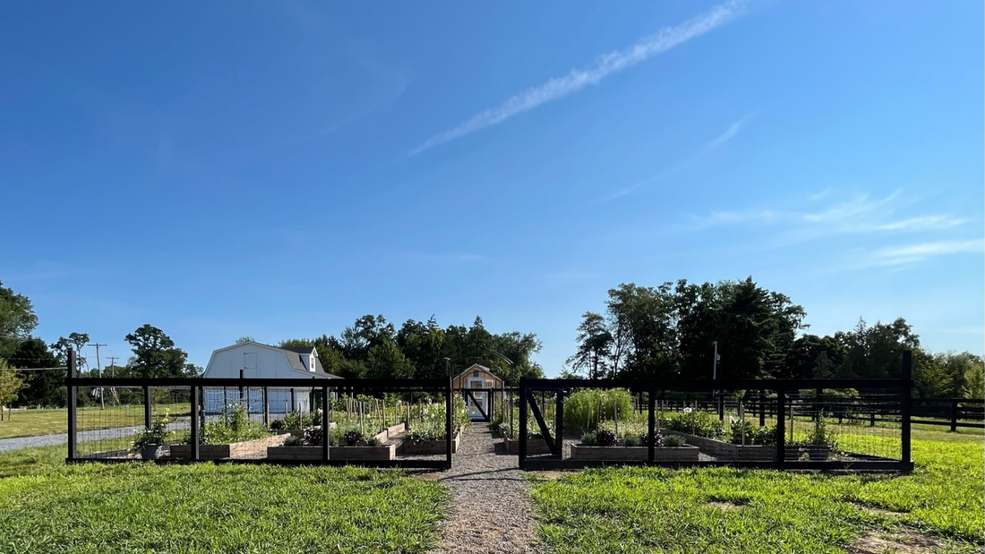About – The Flower Paddock at White Thistle Farm