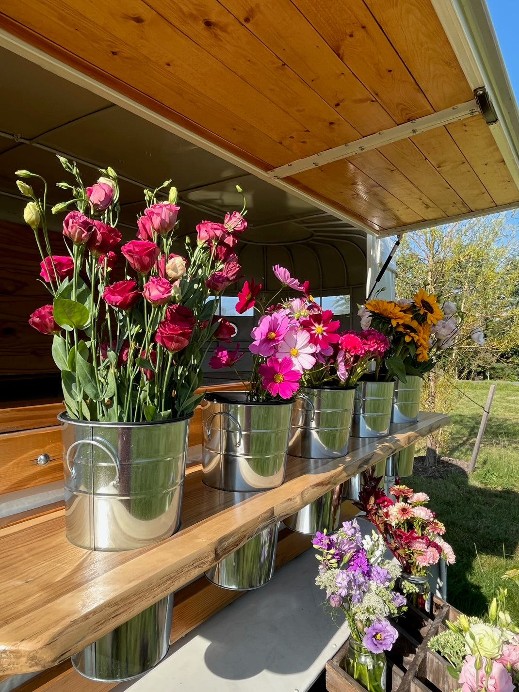 The Flower Paddock at White Thistle Farm
