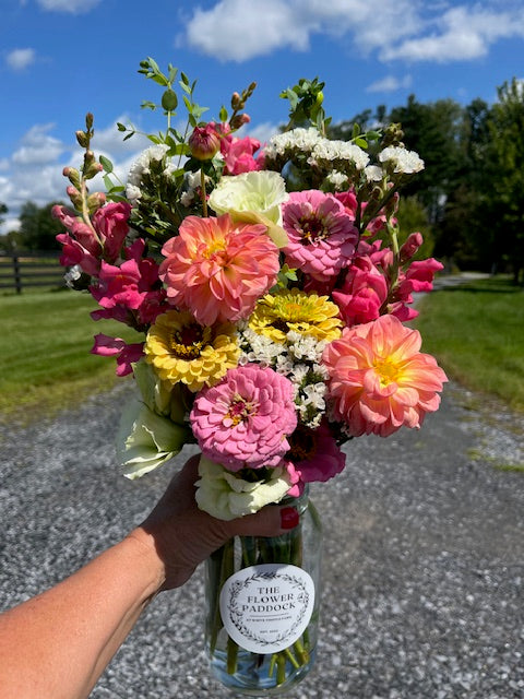 The Flower Paddock at White Thistle Farm